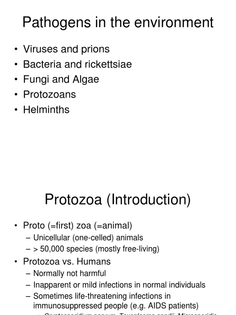 Pathogens in The Environment: - Viruses and Prions - Bacteria and ...