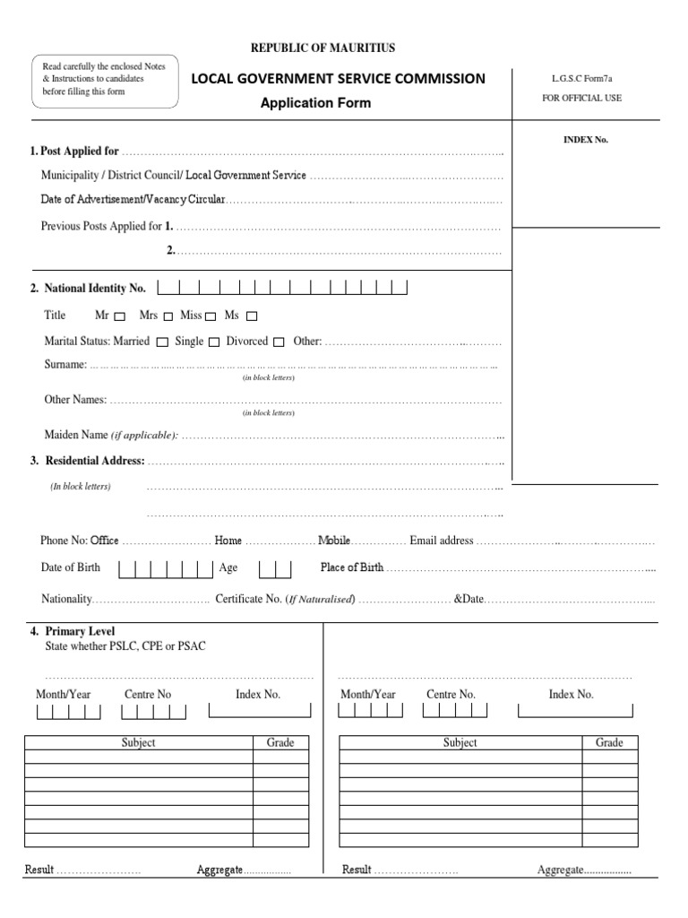 Application for Local Government Service: An Analysis of an Individual ...