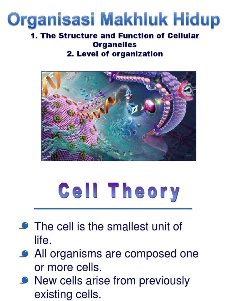 The Structure and Function of Cellular Organelles 2. Level of ...