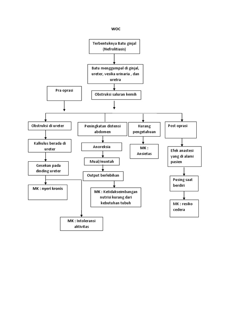 WOC Perkemihan | PDF