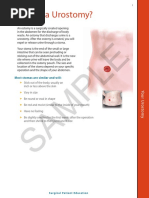 Catheter Care Plan | PDF | Catheter | Medical Specialties