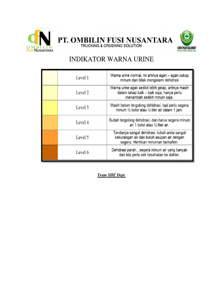 Indikator Warna Urine | PDF