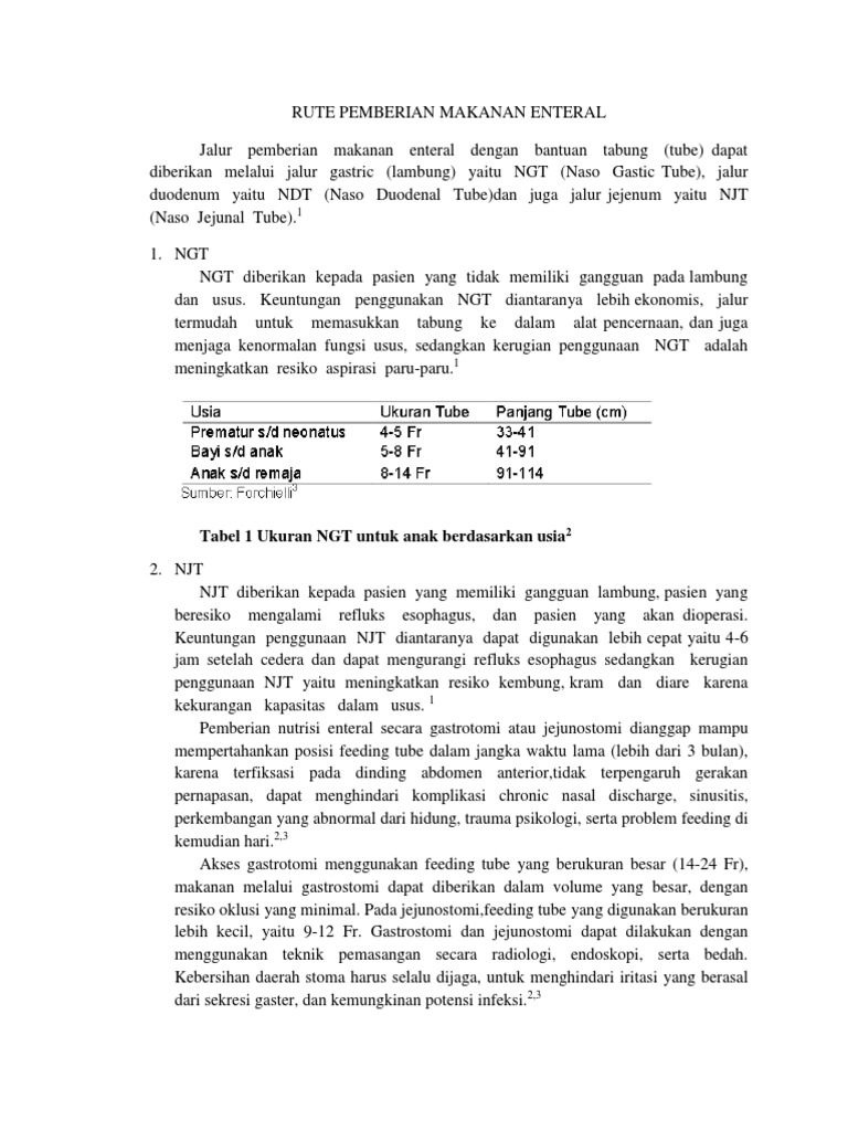 Rute Makanan Enteral | PDF