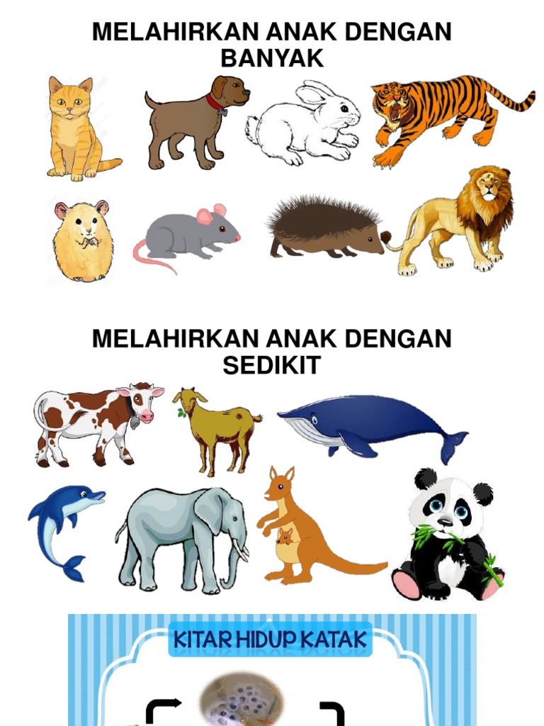 Kitaran Hidup Dan Melahirkan Anak | PDF