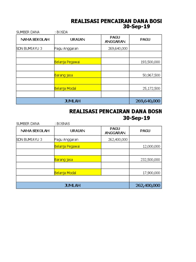 Laporan Realisasi Dana BOSDA dan BOSNAS 2019 | PDF