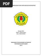Gambar Alat Reproduksi Sapi Betina | PDF