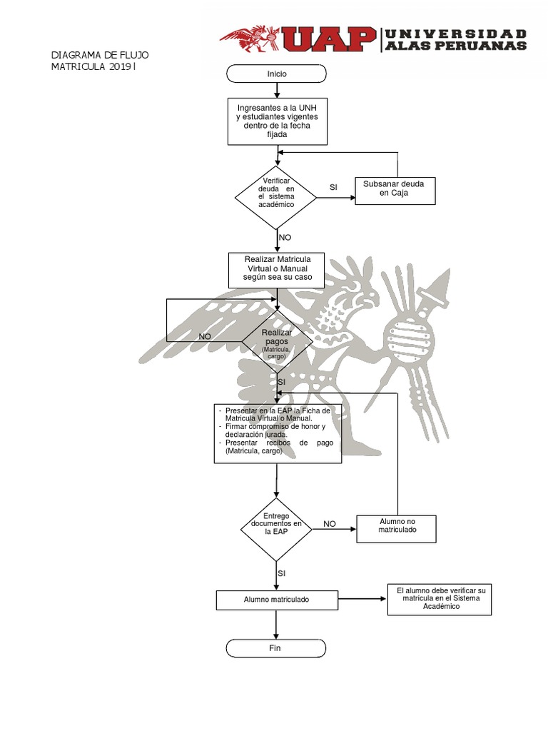 Flojugrama de Proceso de Matricula en La Uap | PDF