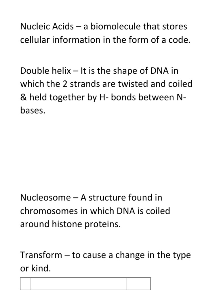Nucleic Acids - A Biomolecule That Stores Cellular Information in The ...