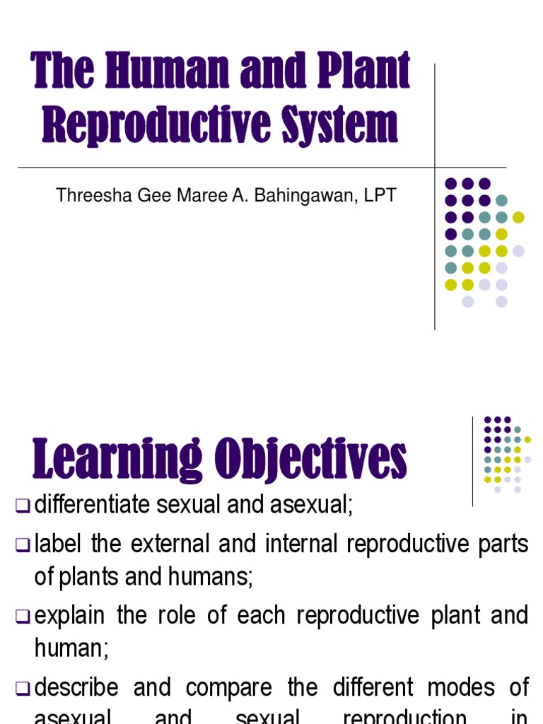 Reproductive System | PDF | Reproductive System | Pollination