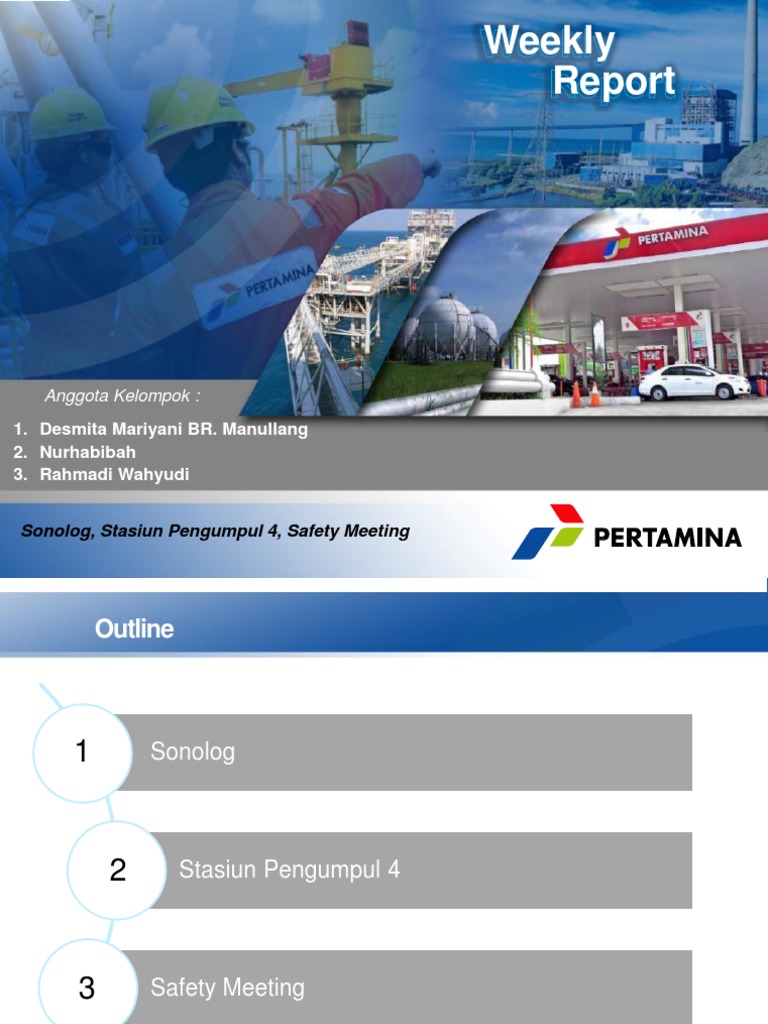 Weekly Report (Week 1) | PDF | Business | Nature