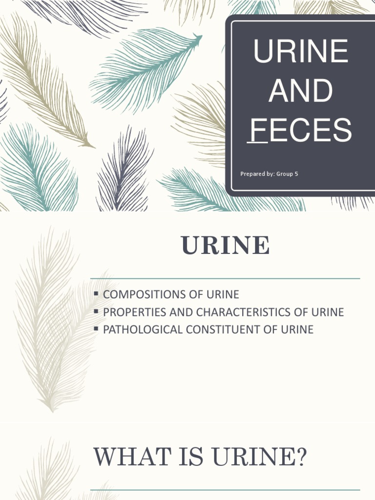 Urine AND Feces: Prepared By: Group 5 | PDF | Urine | Human Feces