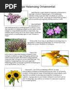 KALENDARYO NG Pagtatanim | PDF