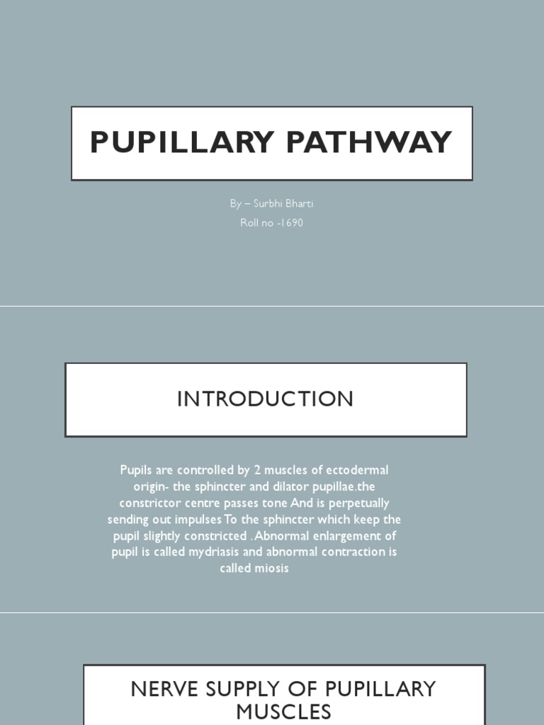 Pupillary Pathway: A Comprehensive Review of the Anatomy and Physiology ...