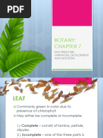 Leaf Nomenclature Cards | PDF