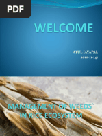 Ragdoll Method | PDF | Seed | Germination