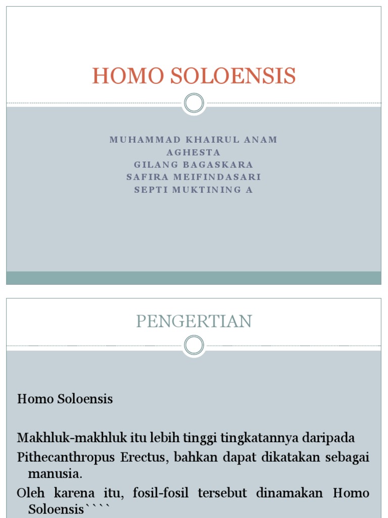 Homo Soloensis Presentation Indonesia | PDF
