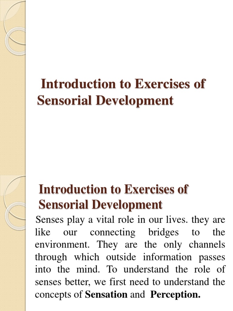 An Introduction to Visual Sensory Exercises in Montessori Education ...