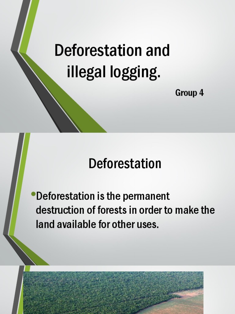 Deforestation and Illegal Logging | PDF | Deforestation | Rainforest
