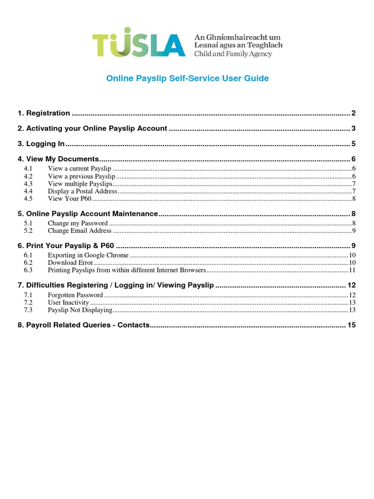 HSE Online Payslip User Guide | PDF | Internet Explorer | Password