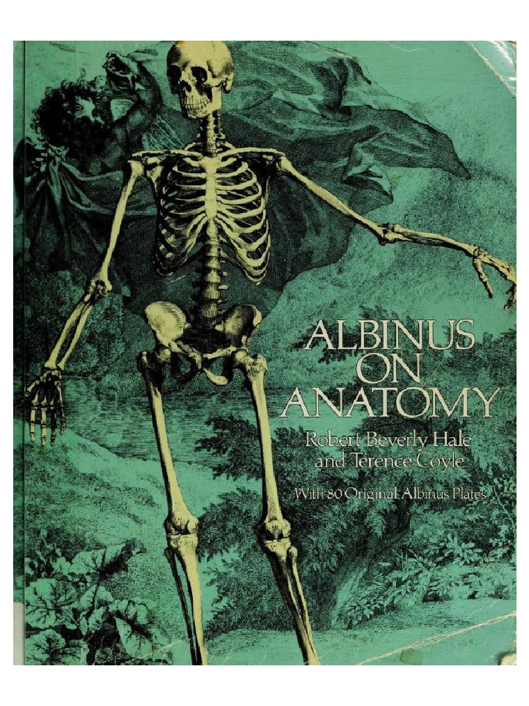 Albinus On Anatomy | PDF