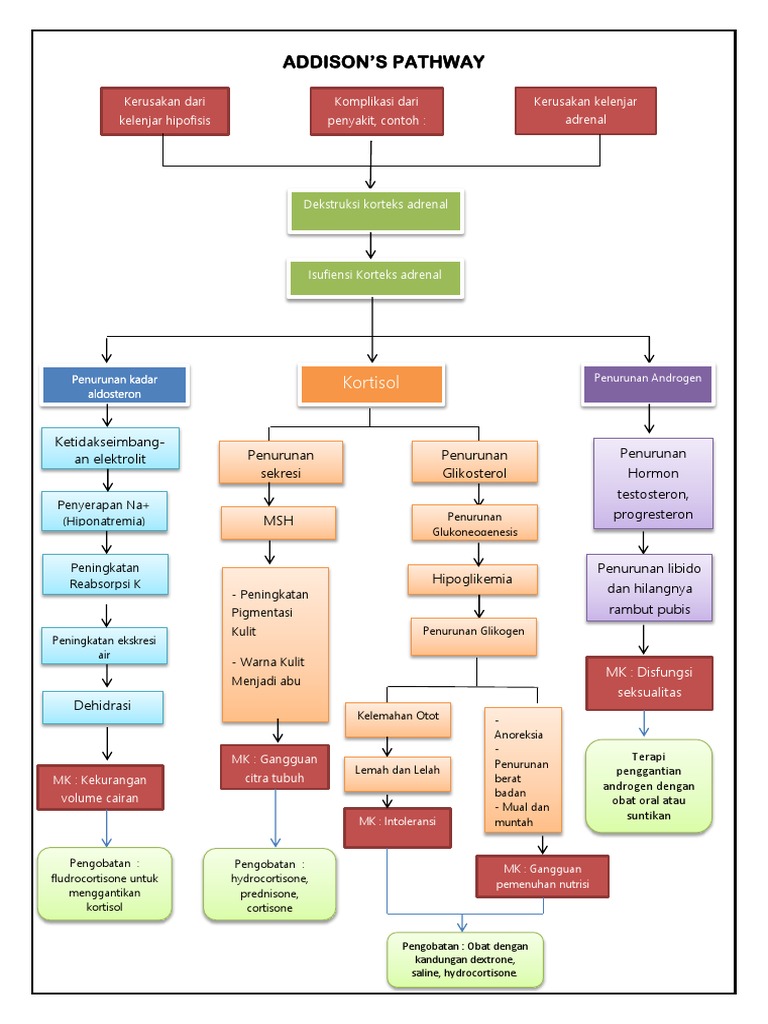 Pathway Addison | PDF