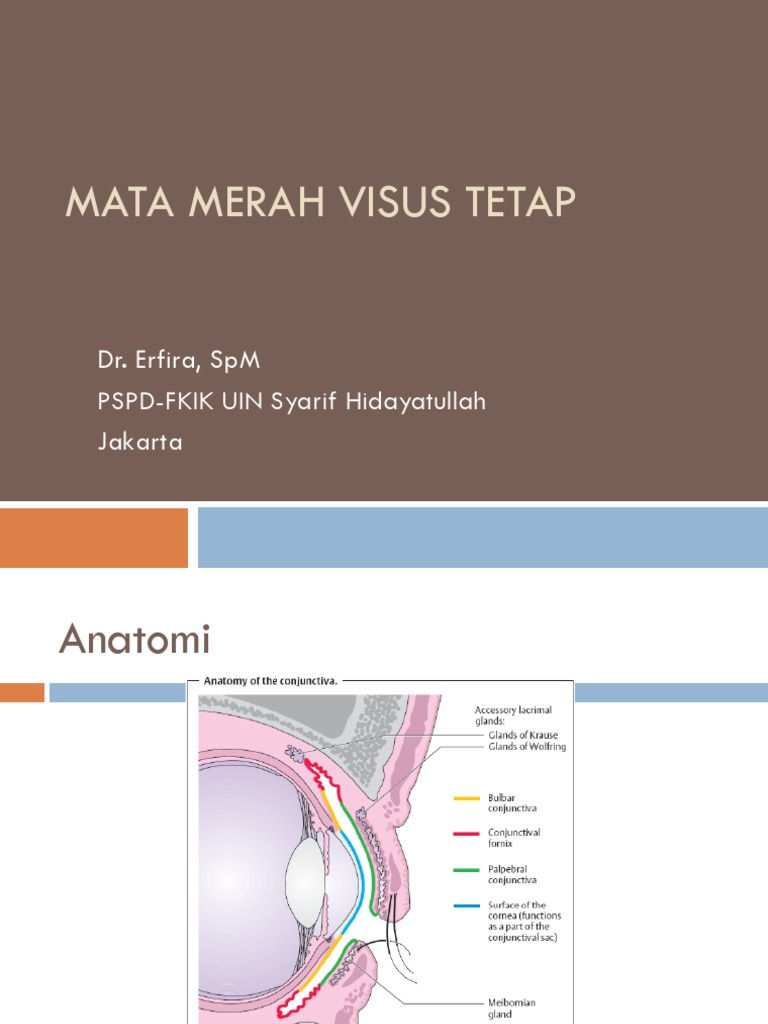 Mata Merah Visus Tetap | PDF
