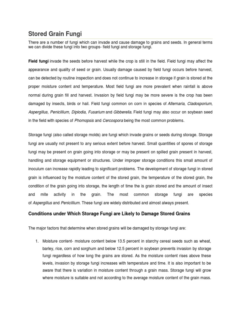 Storage Fungi | PDF | Cereals | Fungus