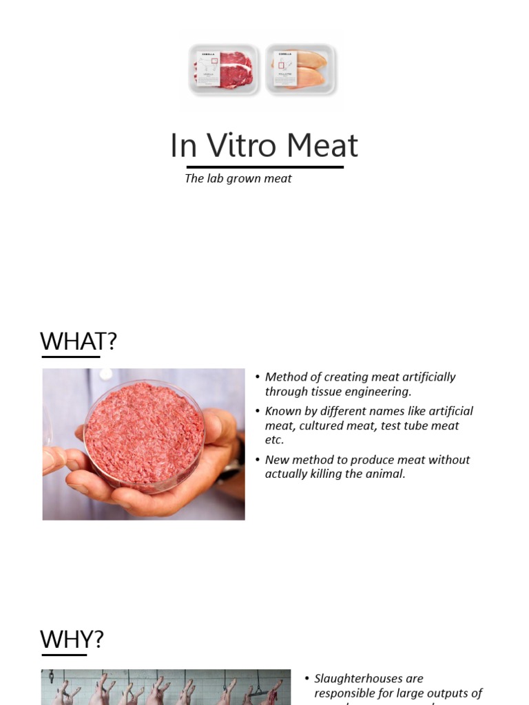 In Vitro Meat: The Lab Grown Meat | PDF | Meat | Food And Drink