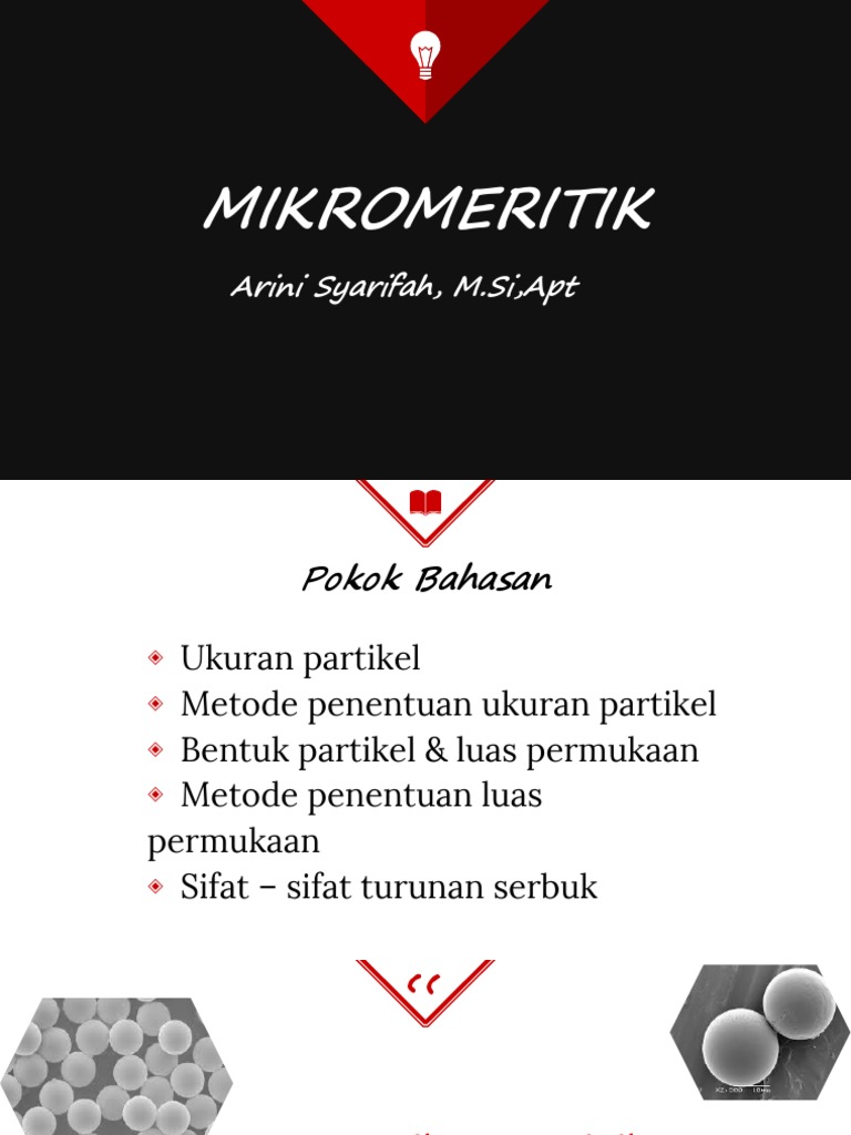 Mikromeritik 19 | PDF