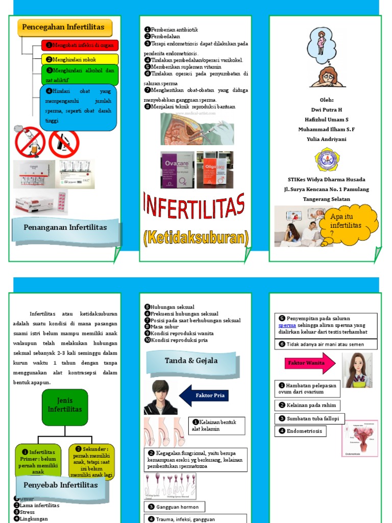 LEAFLET Infertilitas | PDF