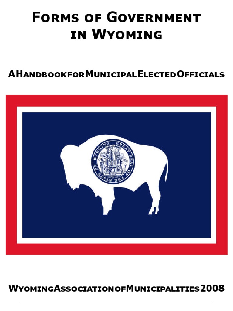 Forms of Government | PDF | City Manager | Mayor