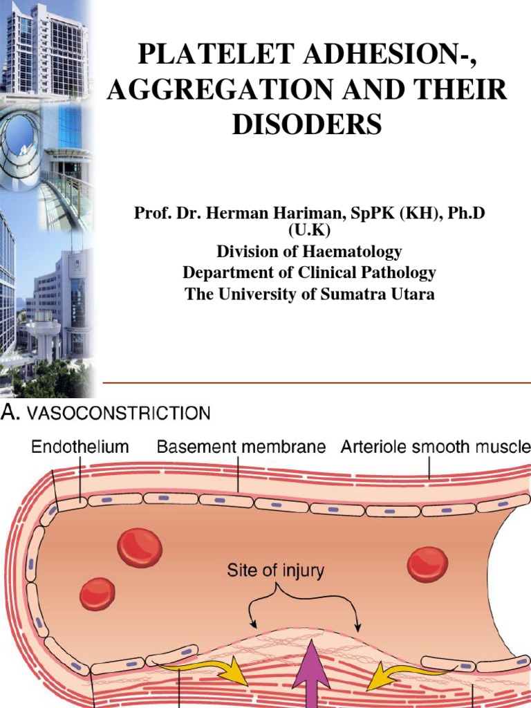 Platelet Adhesion, Aggregation Disorders | PDF