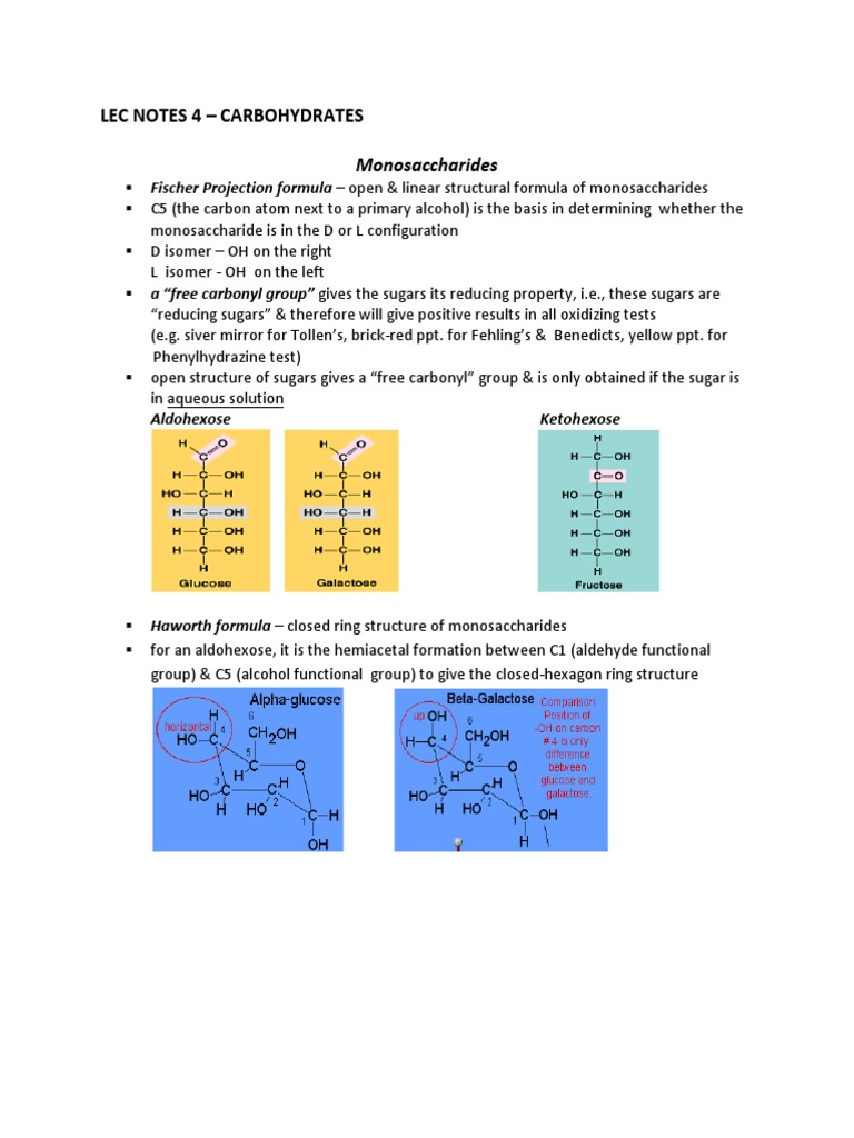 LEC NOTES 4 - Carbohydrates (5) Colored Print | PDF | Carbohydrates ...
