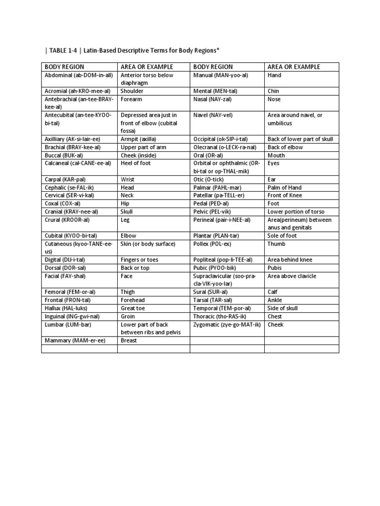 TABLE 1-4 - Latin-Based Descriptive Terms For Body Regions Body Region ...