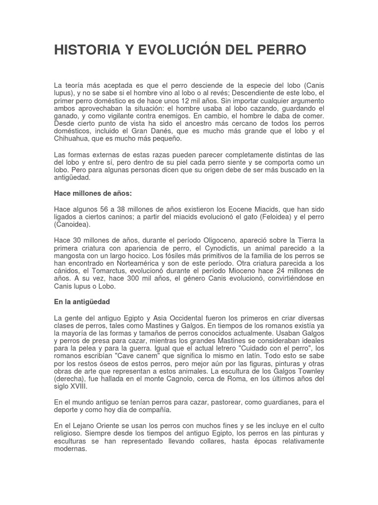 Tema 2 Historia y Evolución Del Perro PDF | PDF | Perros | Boxer (Perro)