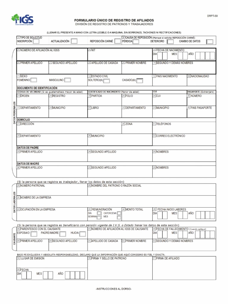 Llenar el presente a mano correctamente | PDF