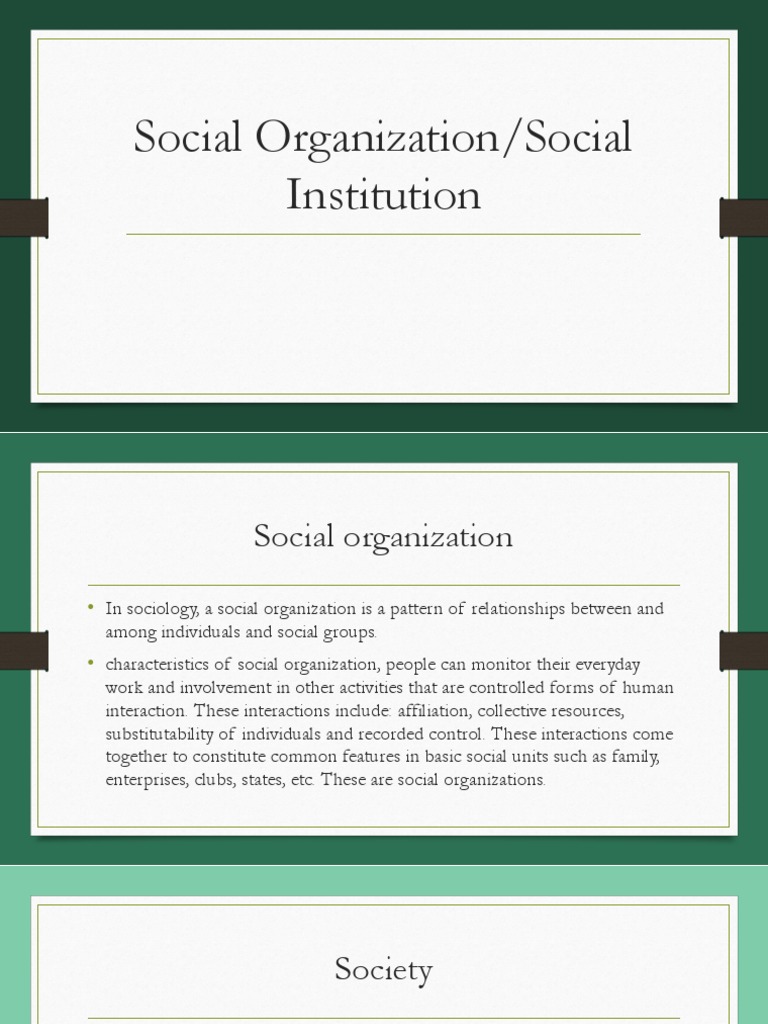 Understanding Social Organization and Society | PDF