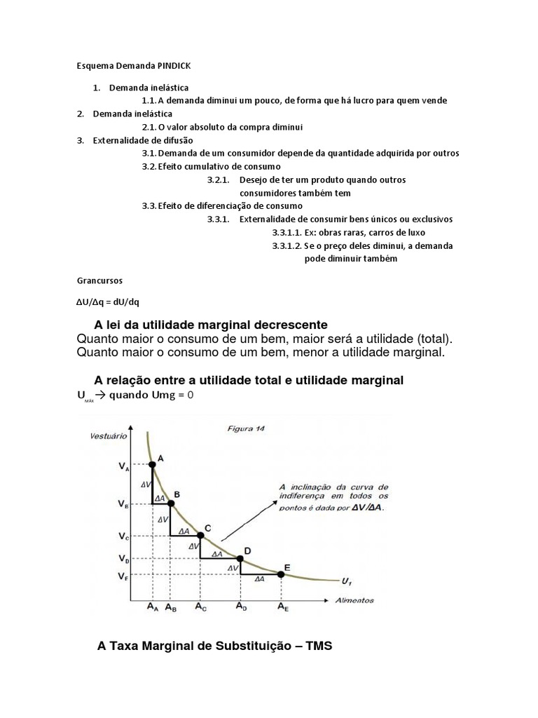 Esquema Demanda PINDICK | PDF | Demanda | Utilidade