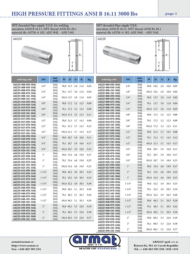NPT Stainless Steel Threaded Fittings Ansi 3000 | PDF
