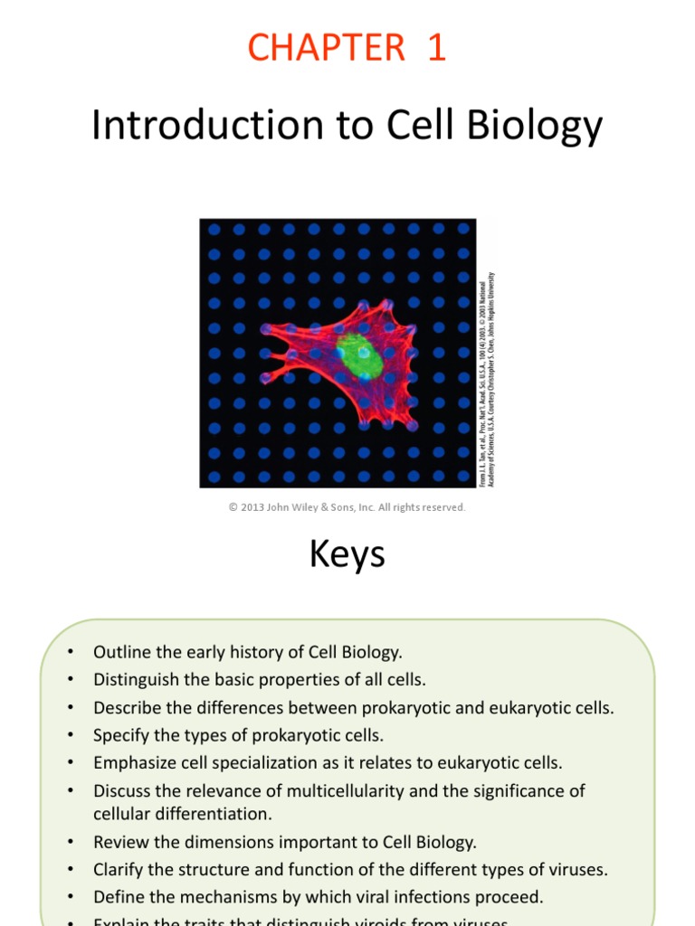 Introduction To Cell Biology: © 2013 John Wiley & Sons, Inc. All Rights ...