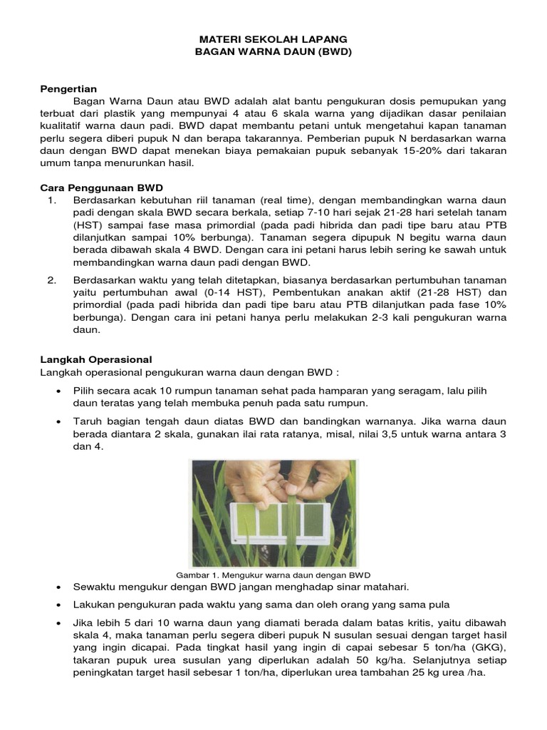Panduan BWD untuk Pemupukan Padi | PDF