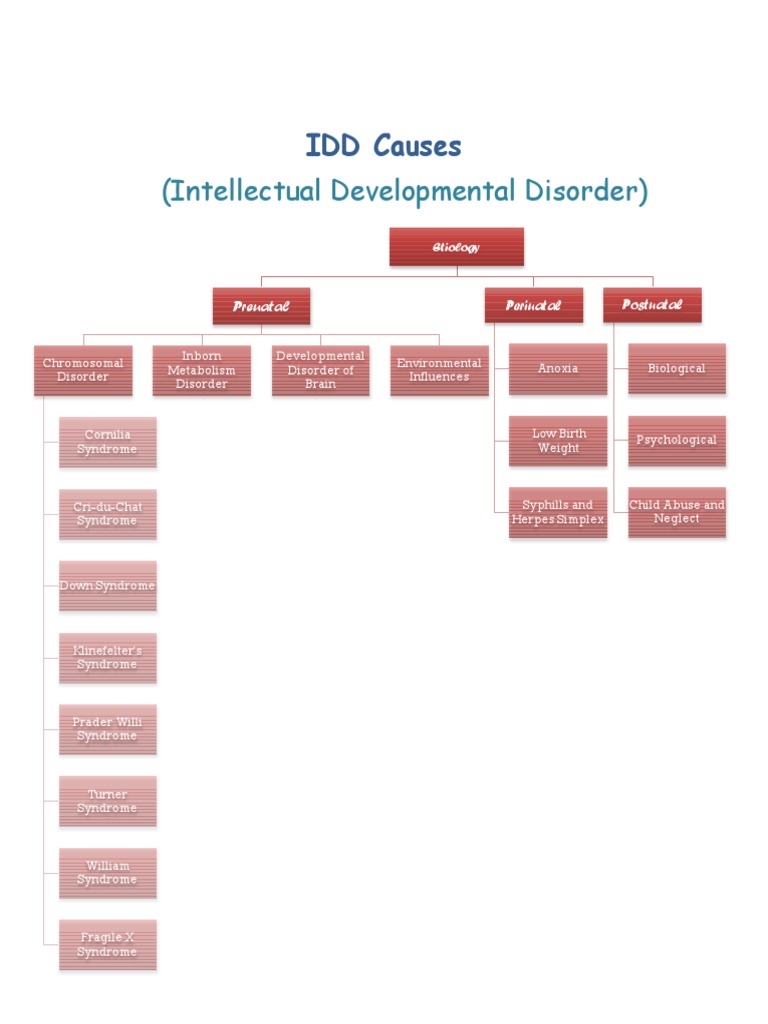 Causes of Intellectual Disorders | PDF