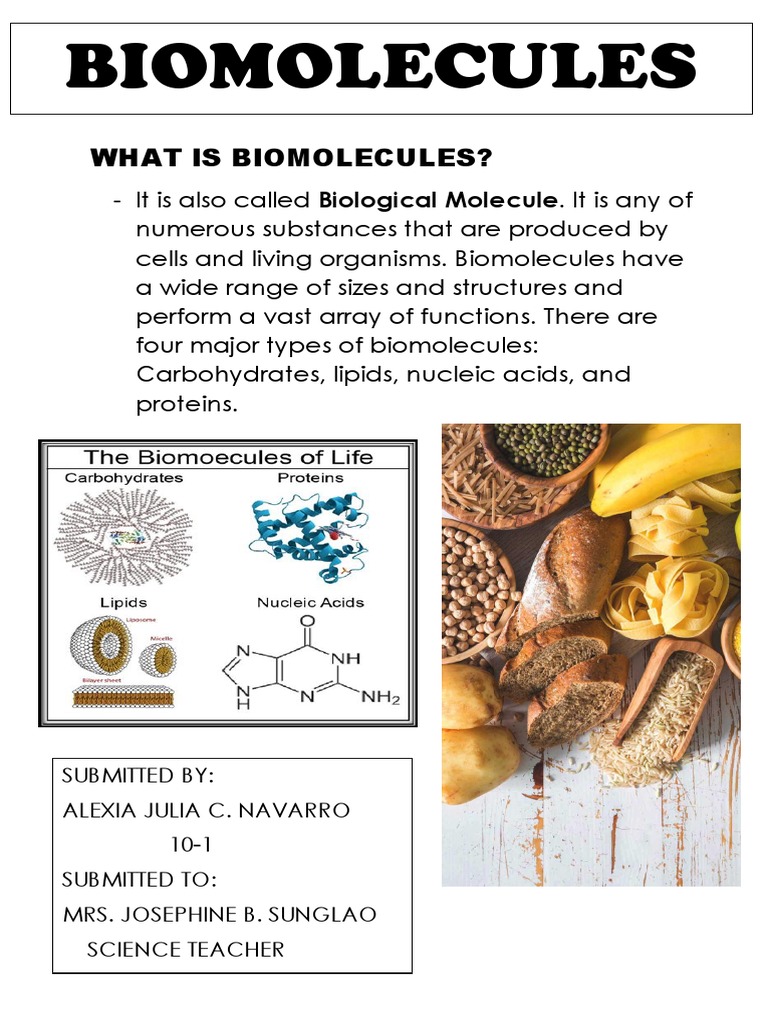 Science Biomolecules | PDF | Biomolecules | Carbohydrates