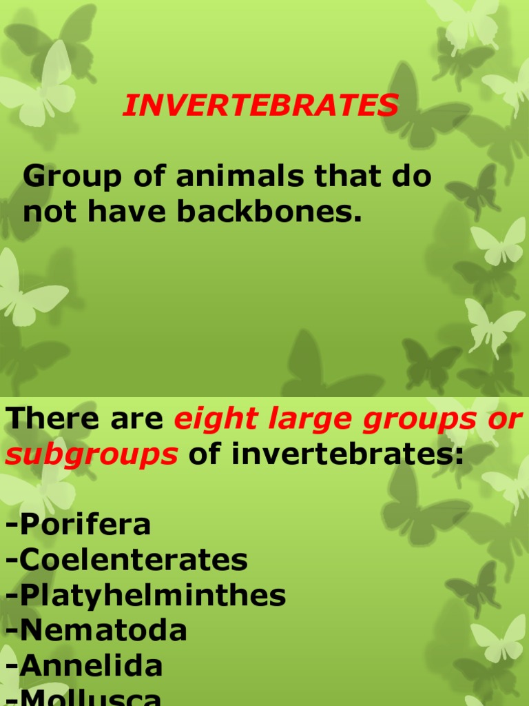Invertebrates: Group of Animals That Do Not Have Backbones | PDF ...