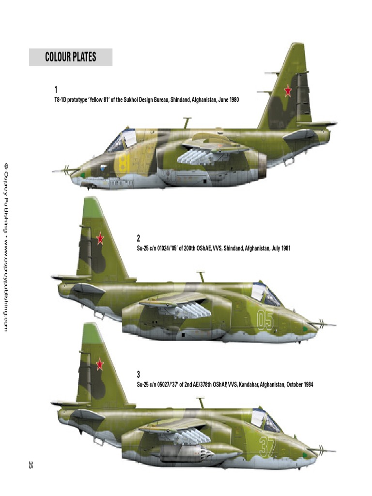 Osprey - Combat Aircraft 109 - Su-25 Frogfoot Units in Combat-35-45 ...