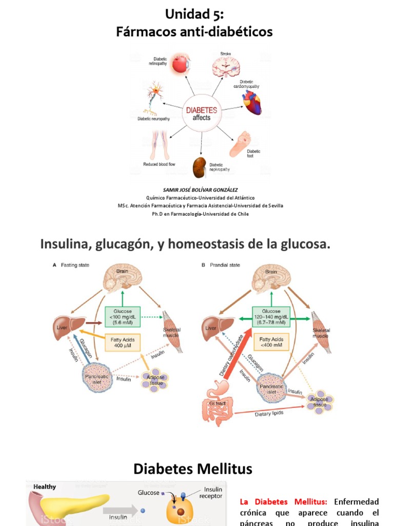 Farmacos Antidiabeticos | PDF | Insulina | Diabetes mellitus