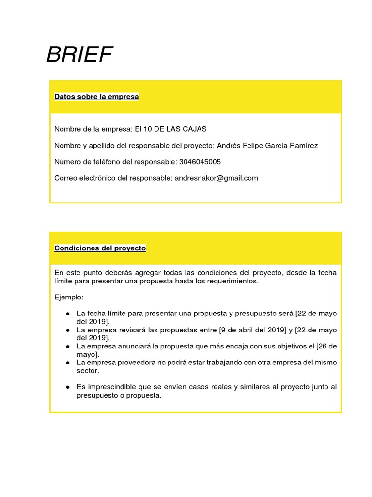 Brief Comunicacion Visual | PDF | Presupuesto | Marketing