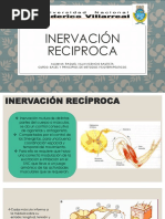 Tracto Rubroespinal | PDF | Cerebro | Neuroanatomía