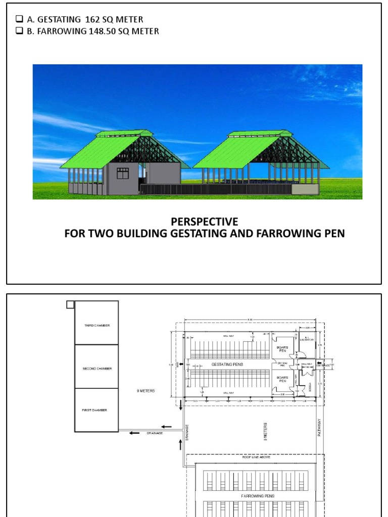 New Swine Breeder Design | PDF