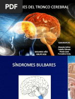 Sindrome Bulbar Medial o Anterior de Dejerineque | PDF